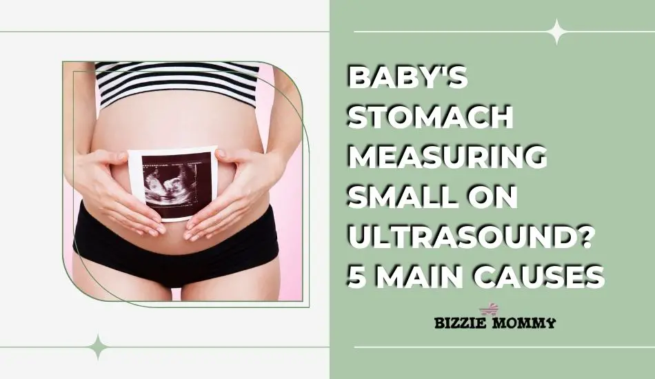 Baby’s Stomach Measuring Small on Ultrasound? 5 Main Causes - Bizzie Mom